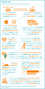 infographic - African Insider
