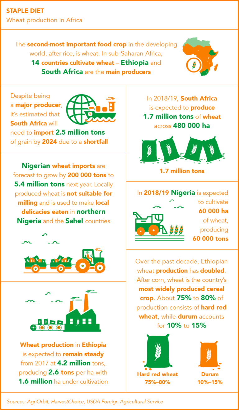 infographic - African Insider