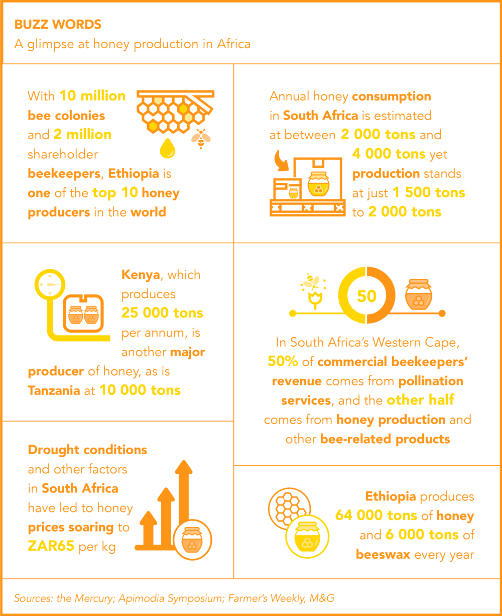 Infographic- African Insider