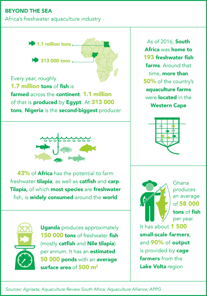 Infographic - African Insider
