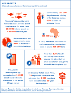 Infographic - African Insider