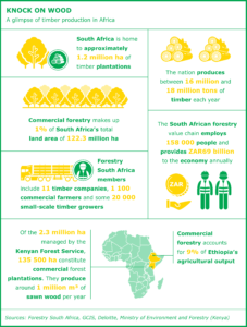 infographic - African Insider